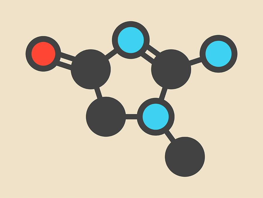 Creatine Molecule Photograph by Molekuul - Pixels