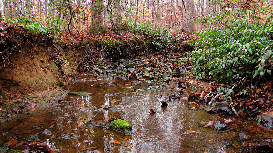 Creek Bed Photograph by Sarah Gage - Fine Art America