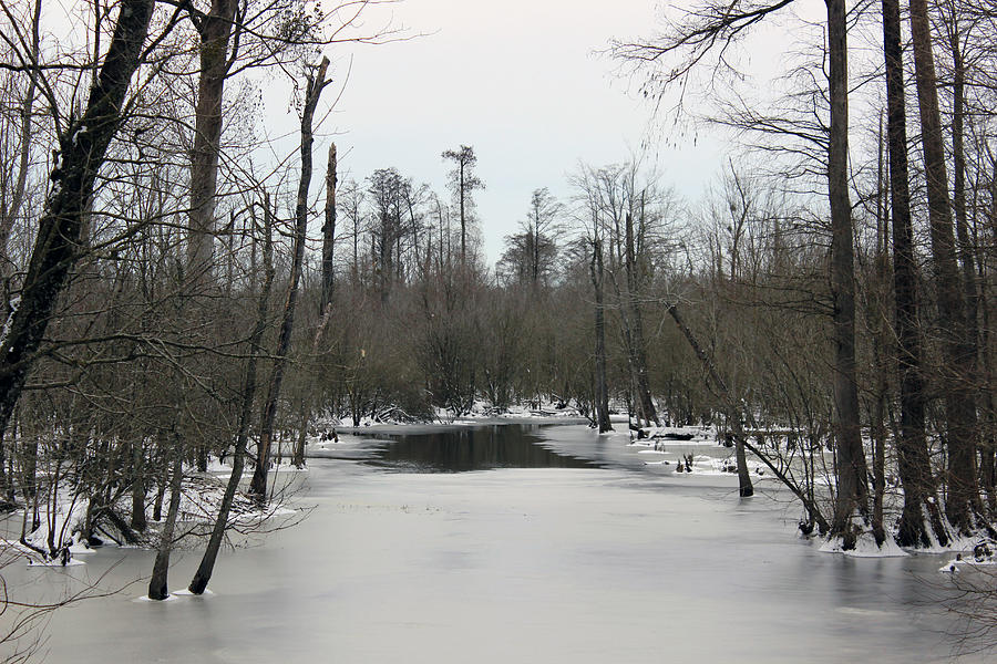 Creek in Winter Photograph by Terry Malpass - Fine Art America