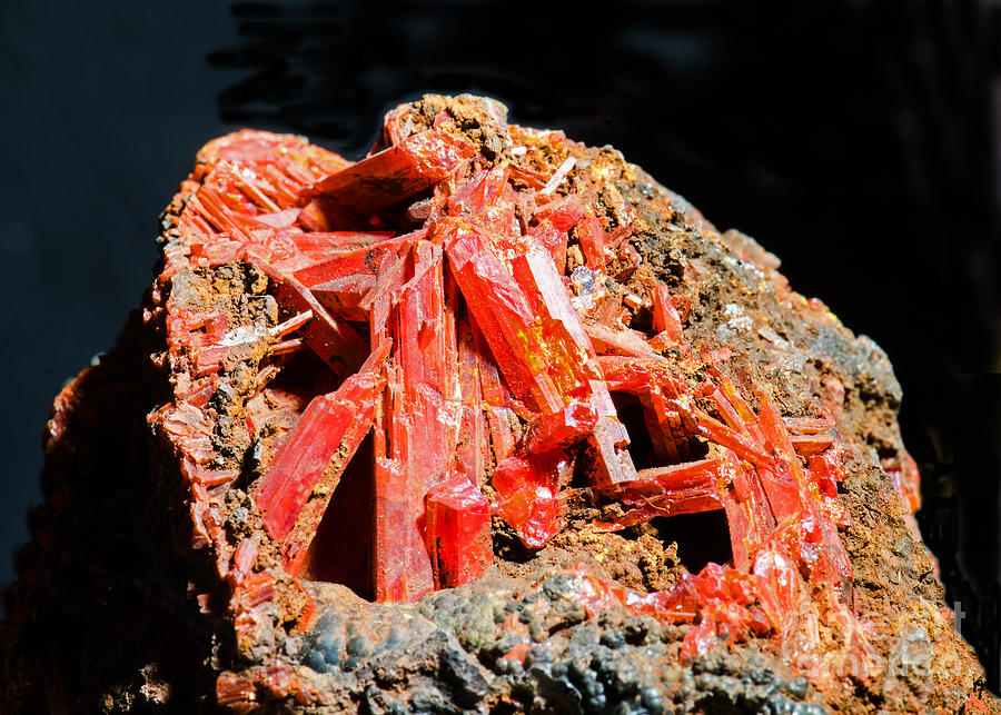 Crocoite Photograph by Millard H. Sharp - Pixels