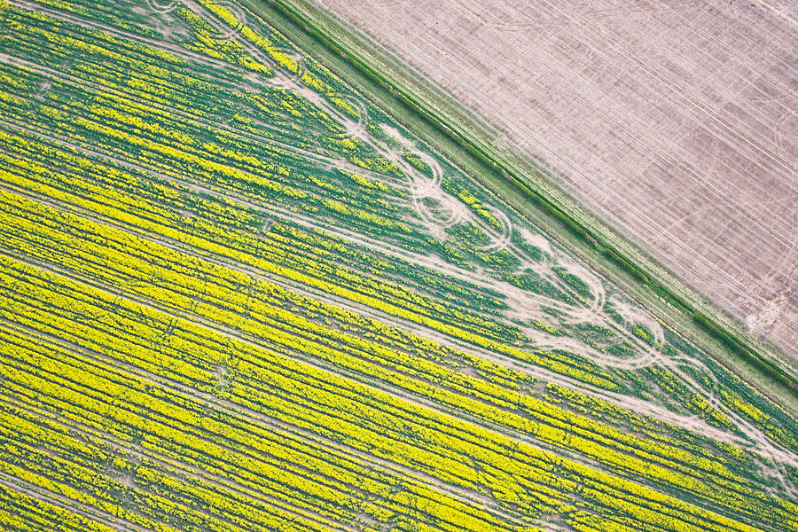 Crop fields Photograph by Tom Gowanlock - Pixels Merch