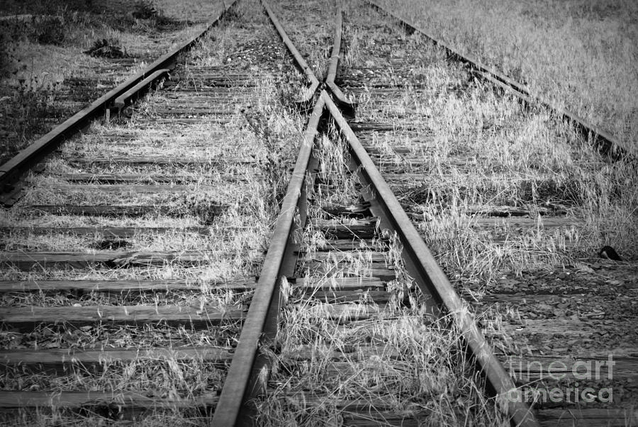 Crossed Paths Photograph by Kara Bechtle | Pixels