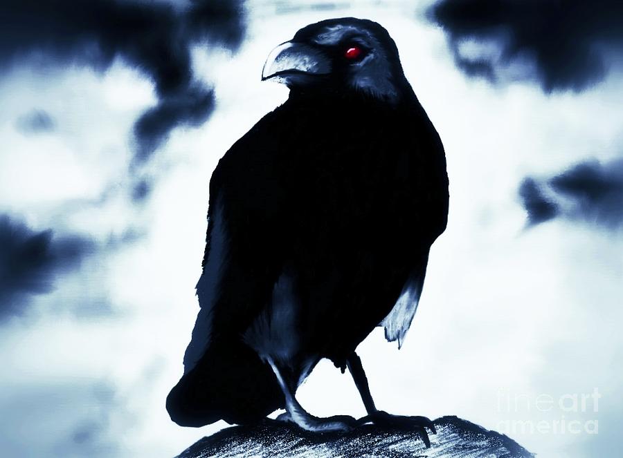 Crow Digital Art by Shane B - Fine Art America