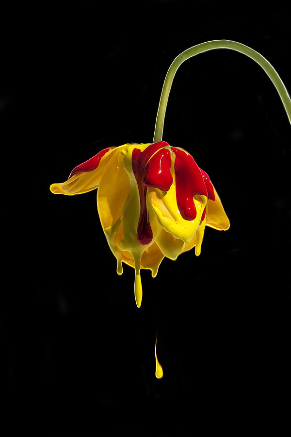 Crying Photograph by Kent Mathiesen - Pixels