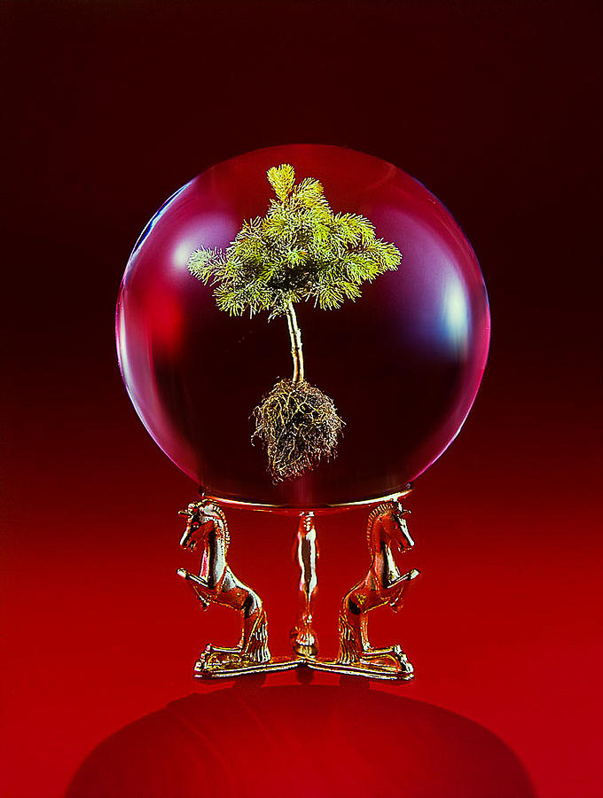 Crystal Ball Photograph by Jerome Foss - Fine Art America