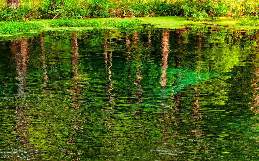 Crystalline Spring Reflections Photograph by John M Bailey - Fine Art ...