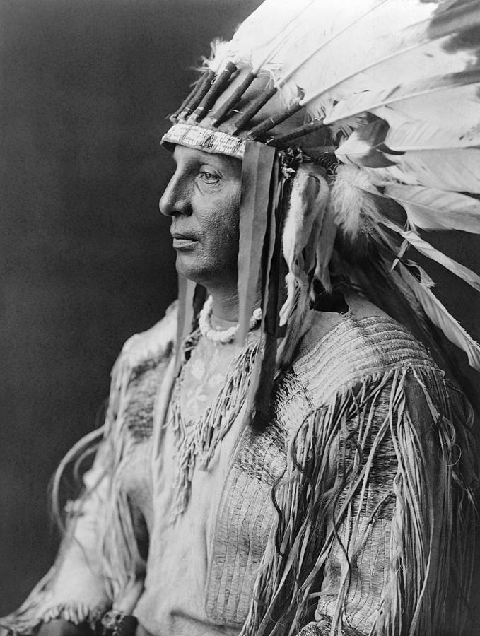 Curtis White Shield, C1908 Photograph by Granger - Pixels