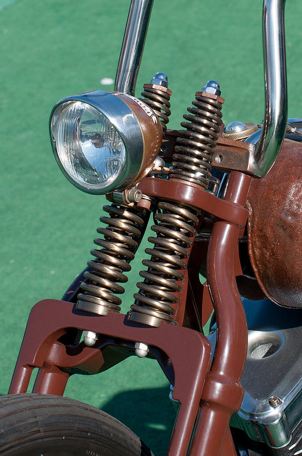 Custom Springer Photograph by Ed Hughes - Fine Art America