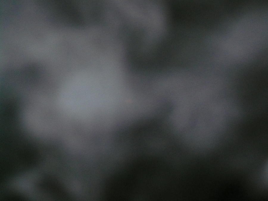 Dark Mist Photograph by Eric Schmitz - Fine Art America