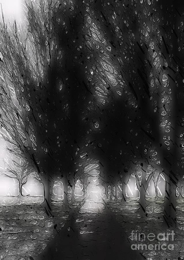 Dark path Digital Art by Shane B - Pixels