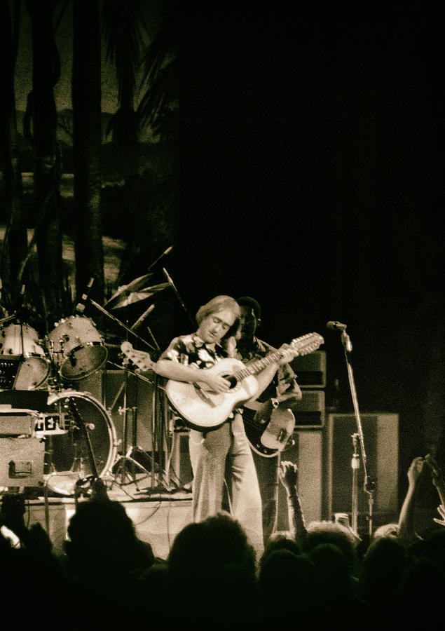 Dave Mason Split Coconut Photograph by Kevin Cable - Pixels