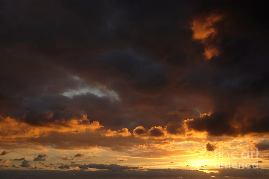 Dawn Dragon Photograph by Carol Weitz - Fine Art America