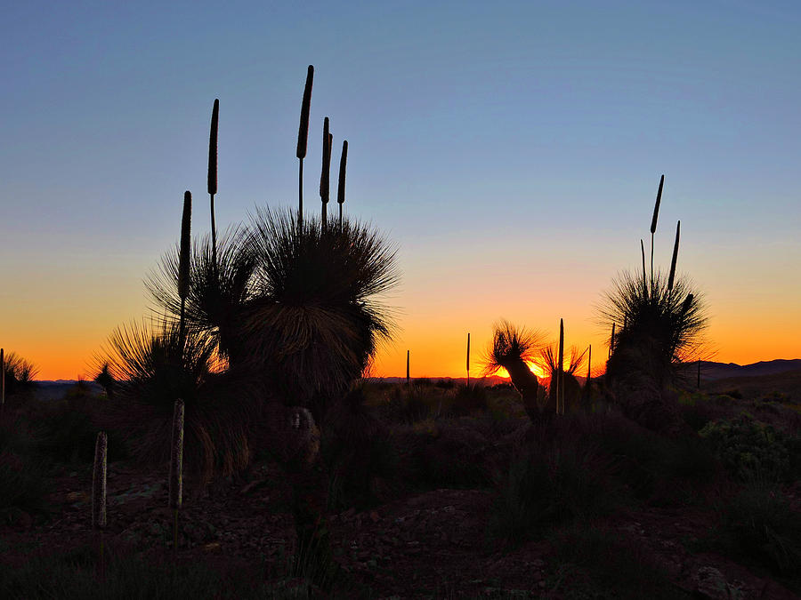 Dawn Photograph by Tim Lindner - Fine Art America