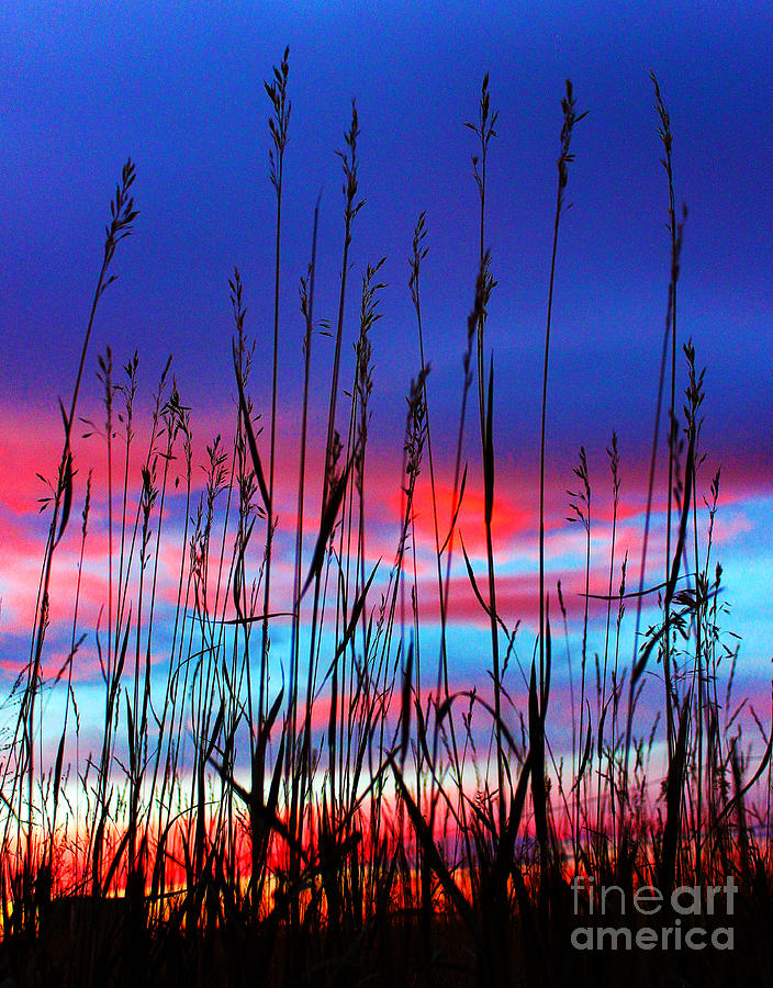 Dawns layer cake # 76 Photograph by Wesley Hahn - Fine Art America