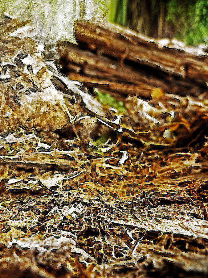 Decayed Digital Art by Steve Taylor - Fine Art America