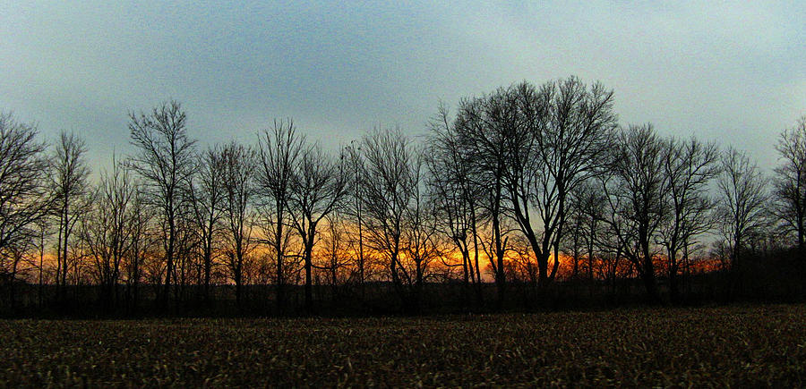 December Trees Photograph by Mr Other Me Photography DanMcCafferty ...