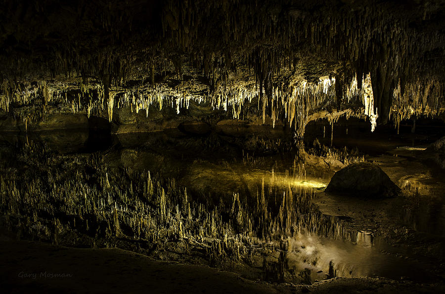 Deep Reflection Photograph by Gary Mosman - Fine Art America