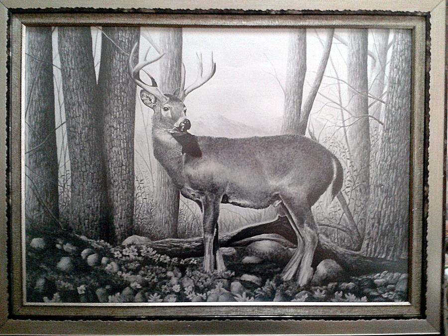 Deer on forest Drawing by Yilmaz Gunes - Fine Art America