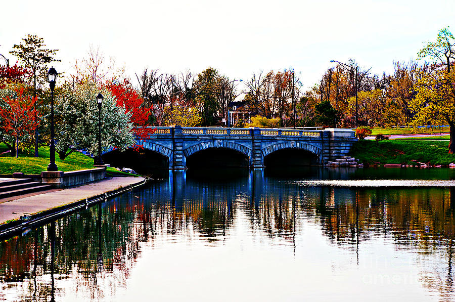 Delaware Park Reflections Photograph by Nikki Rosenberg - Fine Art America