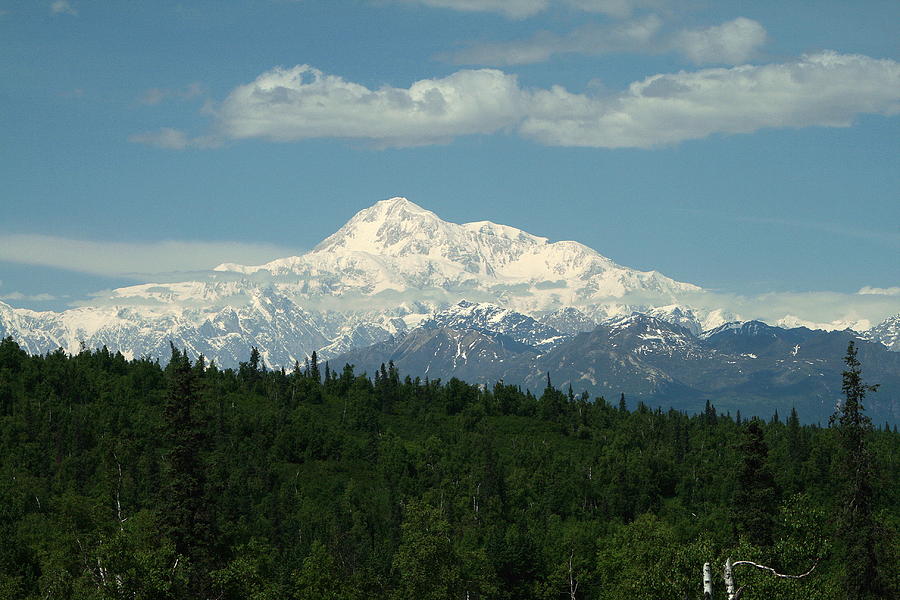 Denali Photograph by Gregory Smith - Fine Art America