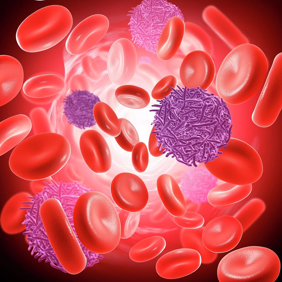 Densoviruses In The Bloodstream Photograph by Pixologicstudio/science Photo Library - Pixels