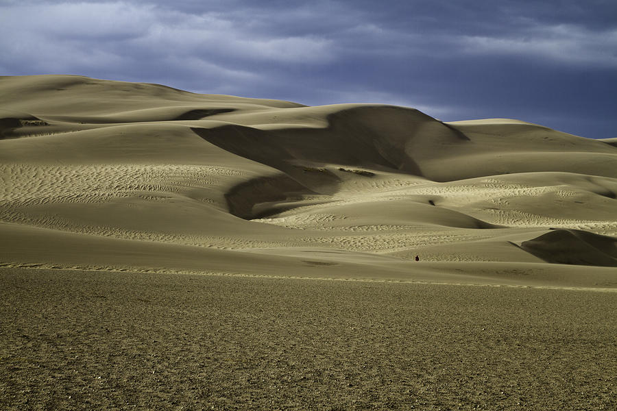 Desert Design 8702 Photograph by Karen Celella | Fine Art America