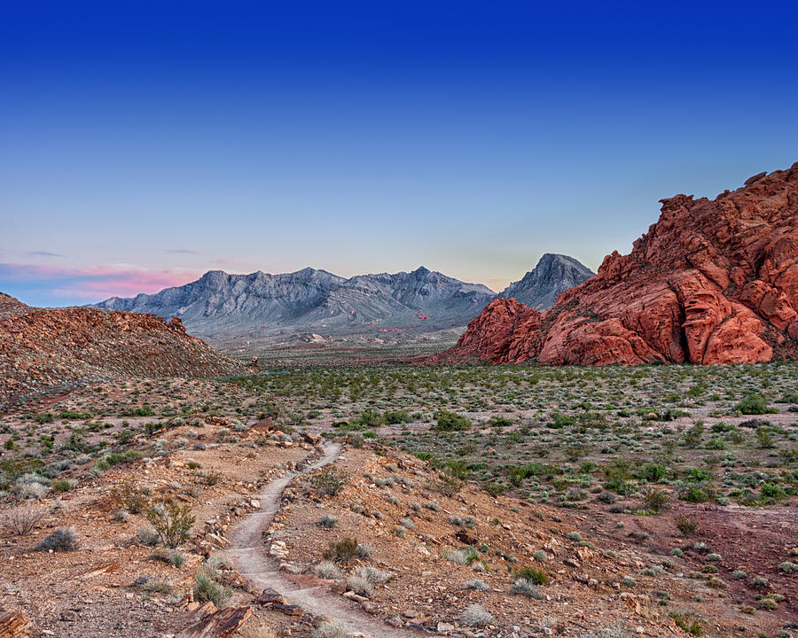 Desert Path Photograph by Will D'angelo