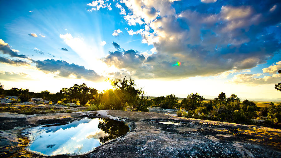 Desert Puddle Reflection Photograph by Chase Taylor - Pixels
