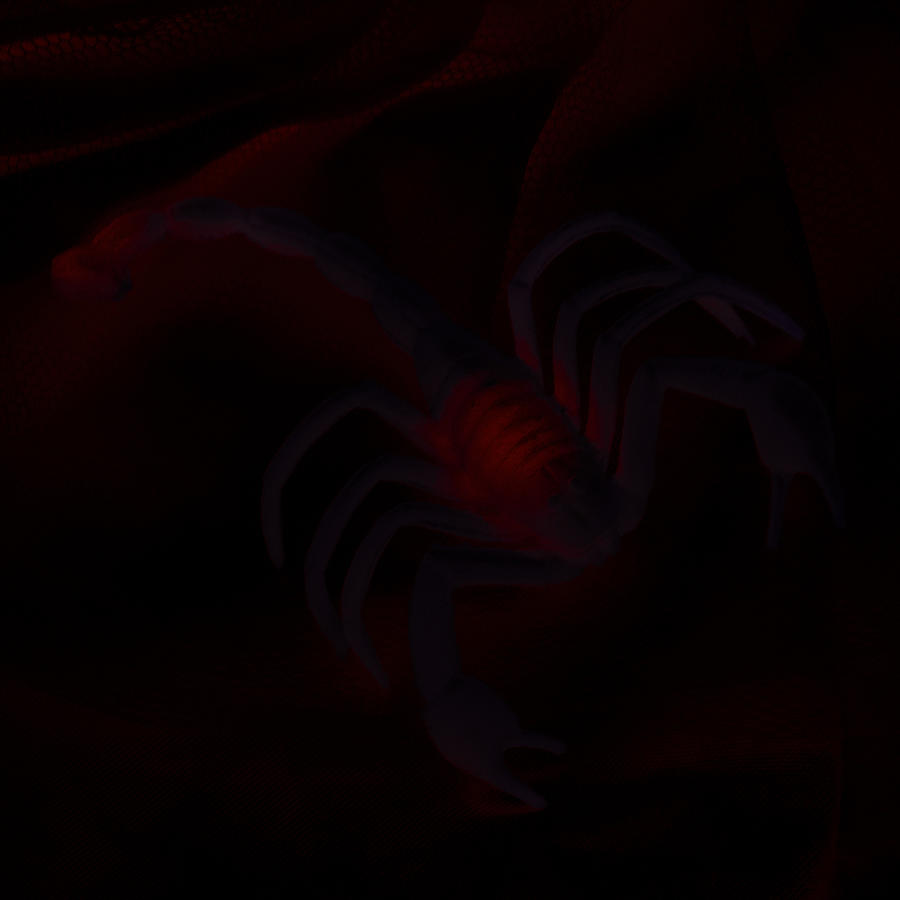 Devil Insect 5 Pyrography by Michael Kraski - Fine Art America