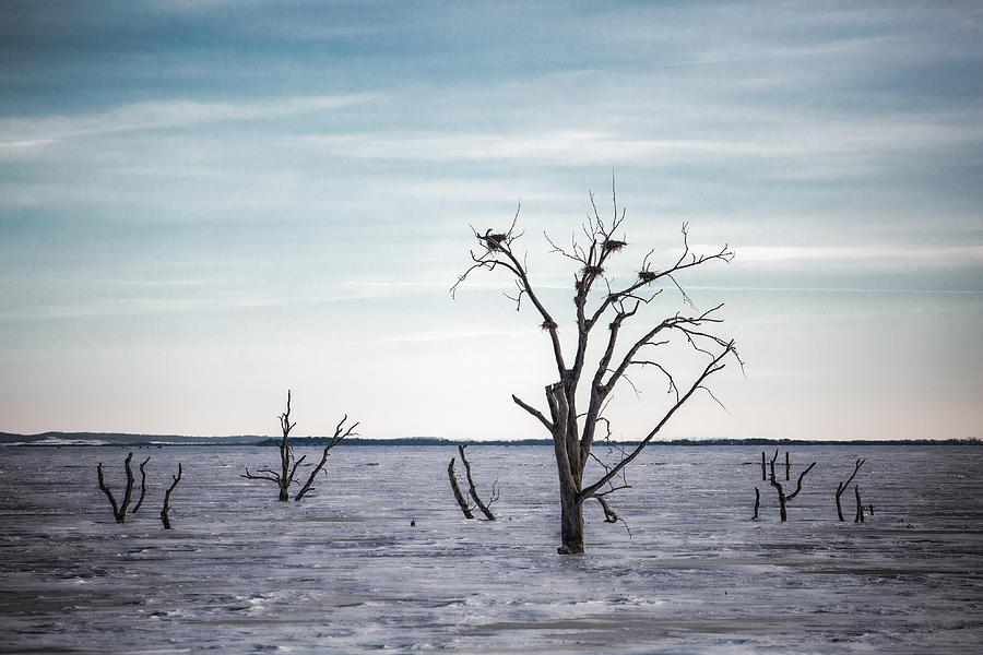 Devil's Lake Photograph by Laura Chadwick - Fine Art America