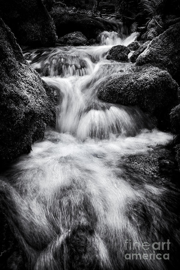 Devon River Monochrome Photograph by Tim Gainey - Fine Art America