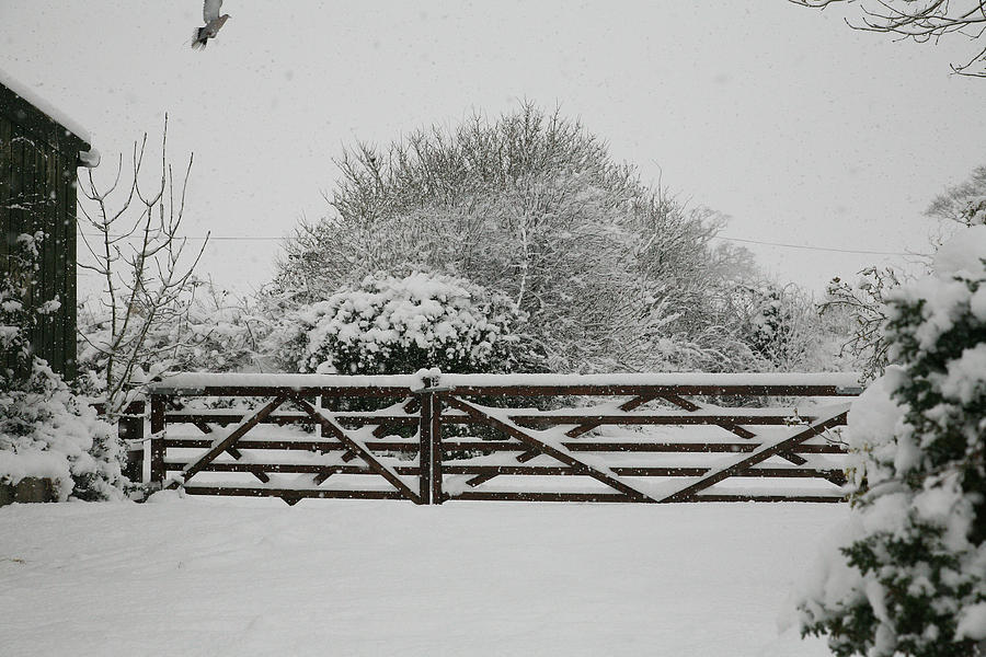 Devon Snow Scene Photograph by Jonathan Hall - Fine Art America