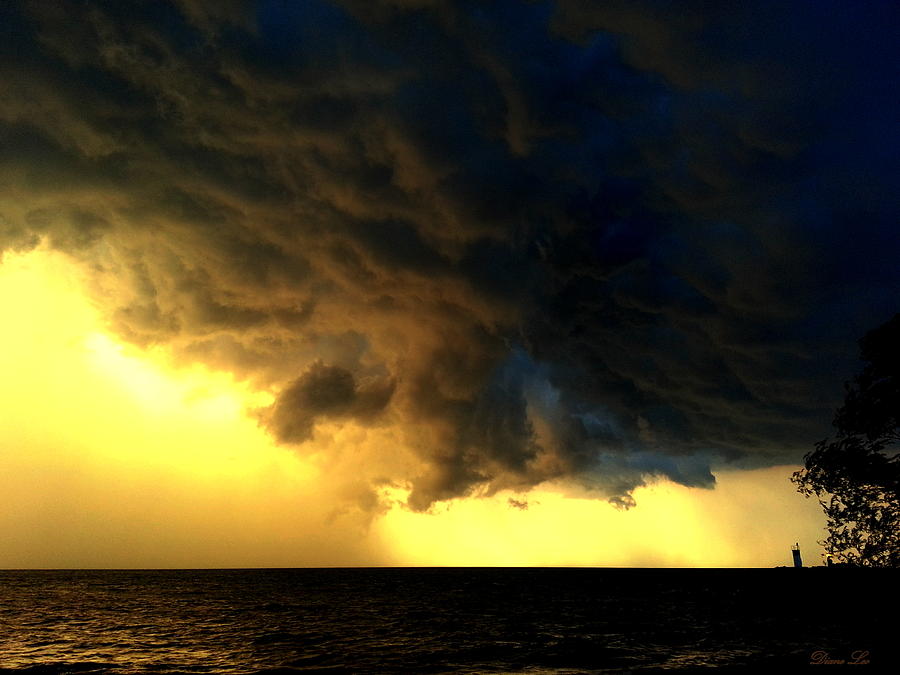 Devoured Photograph by Diane Leo - Fine Art America