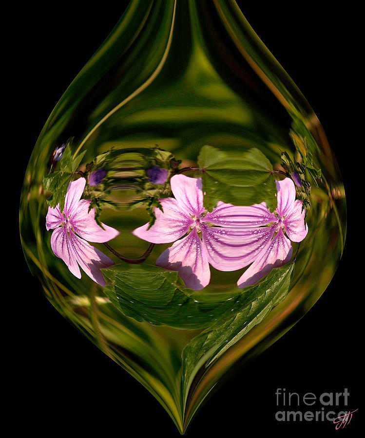 Dew Drop Photograph by Art by Magdalene - Fine Art America