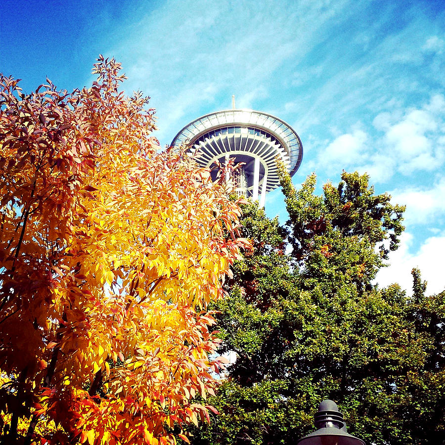 Differences Photograph by Brian Mathis - Fine Art America