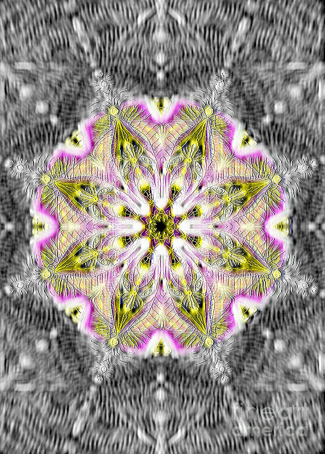 Diffused Web Digital Art by Michael African Visions - Fine Art America