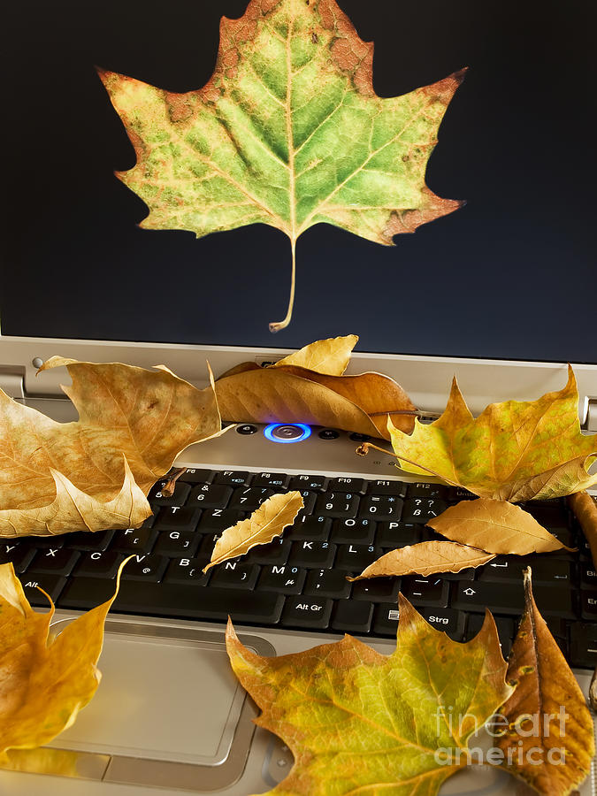 Digital fall Photograph by Sinisa BotasFall on computer | Fine Art America