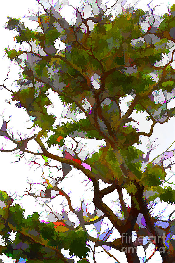 Digital Tree Branches Digital Art by John Watson - Pixels