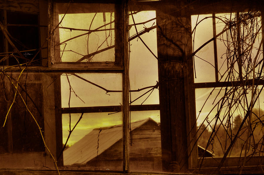 Dilapidated Window Frames Photograph by Jim Vance - Fine Art America