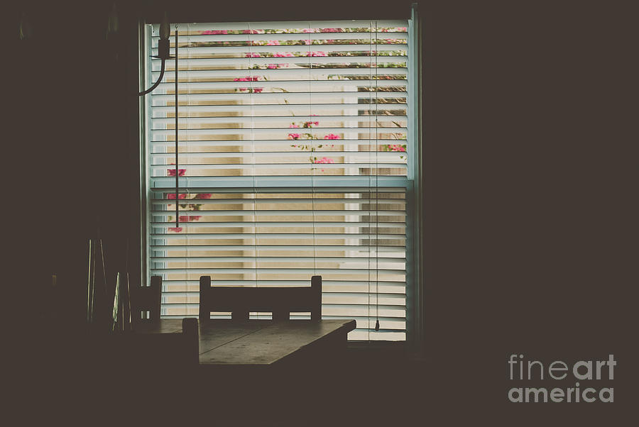 Dining Alone Photograph by Jennifer Whitehurst Photography - Fine Art ...