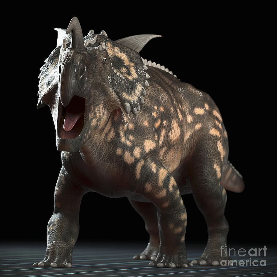 Dinosaur Einiosaurus by Science Picture Co