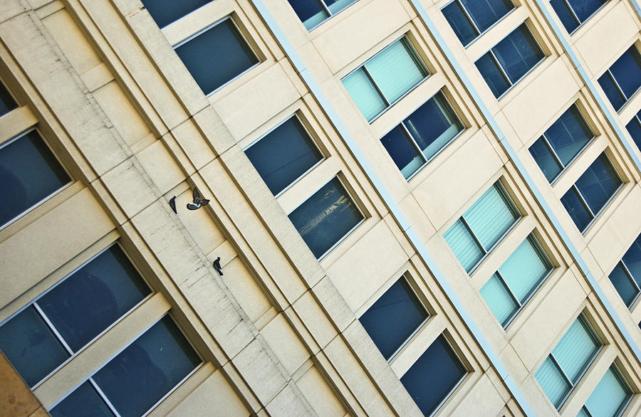 Dislocated Photograph by Tracy Hayden - Fine Art America