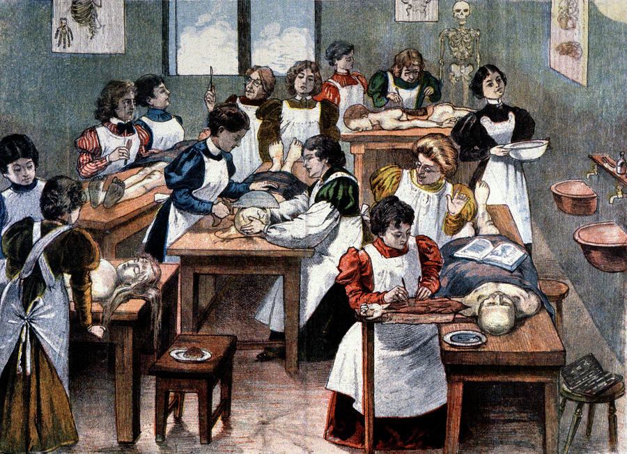 Dissection Lesson Photograph by Science Photo Library - Pixels Merch