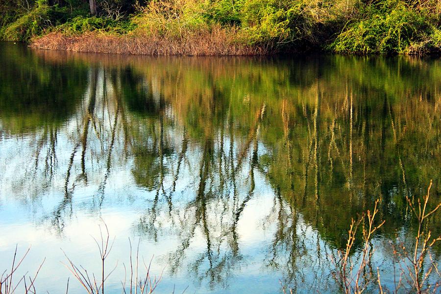 Distorted Reflection Photograph by MPG Artworks - Fine Art America