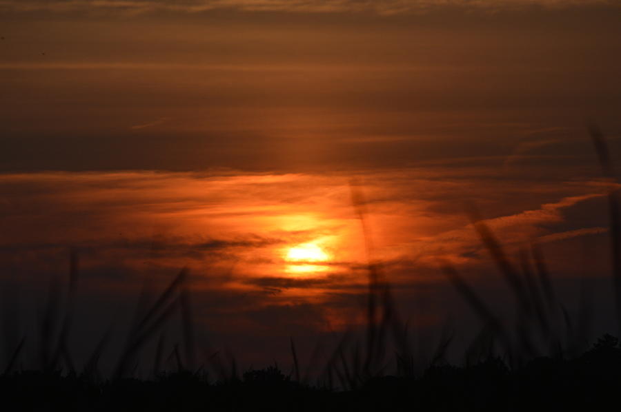 Distorted Sunset Photograph by Iris Rivera - Fine Art America