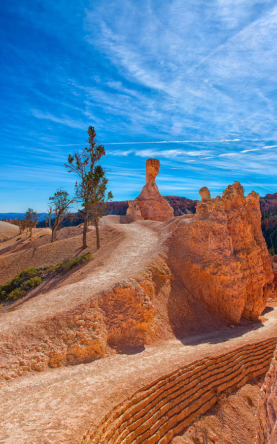Divergent Paths Photograph by John M Bailey - Fine Art America