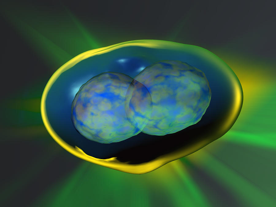 Division Photograph by Epstudio Design - Pixels