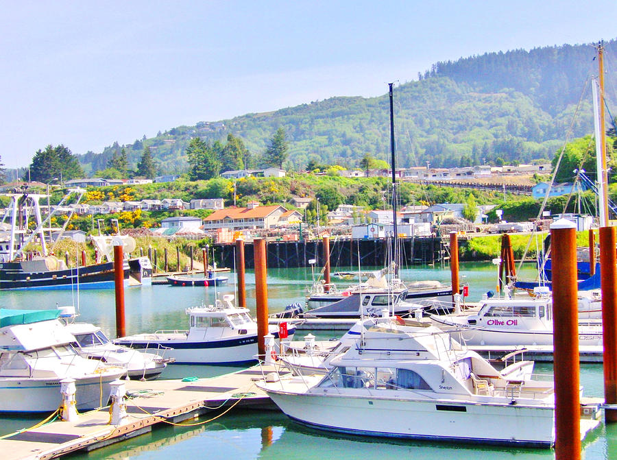 Dock Side Photograph by Marilyn Diaz - Fine Art America