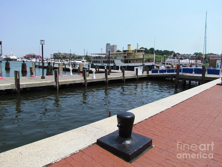 Dock Photograph by Ted Pollard - Fine Art America
