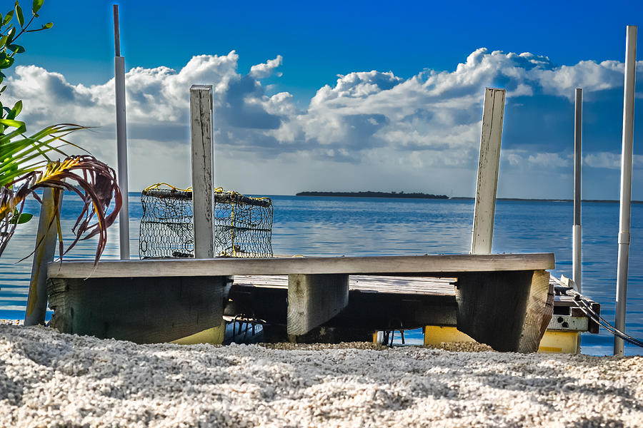 Docking It Photograph by William Mckee - Fine Art America